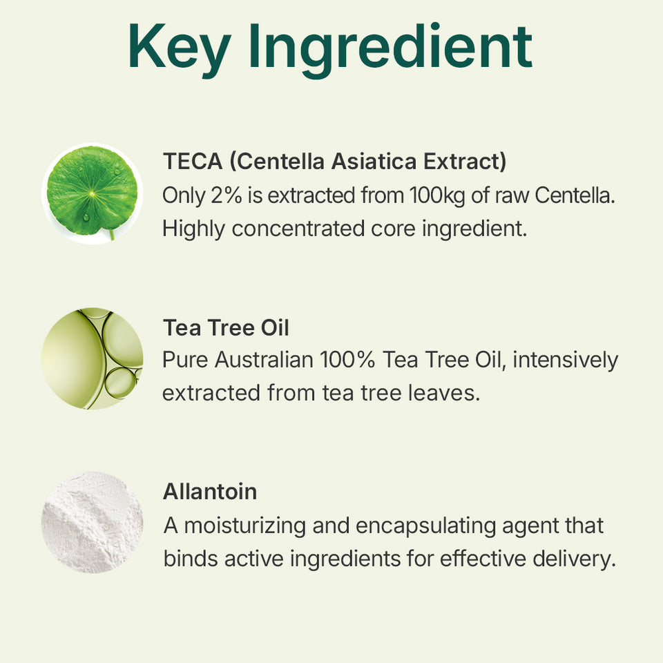 Madeca Powder Tea Tree AC 6g – Centellian24